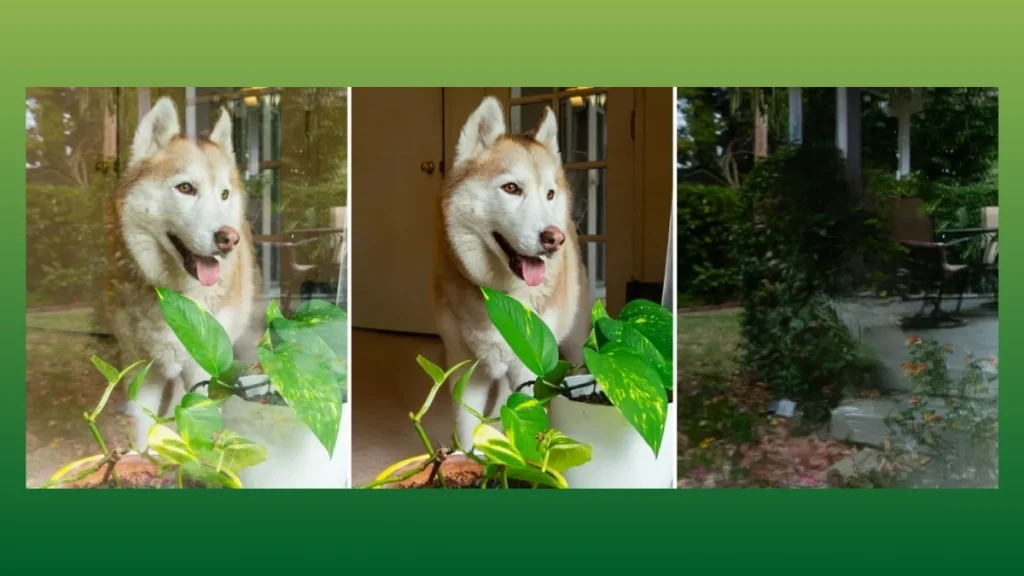 Adobe Introduces AI-Powered Reflection Removal Tool - Devicology